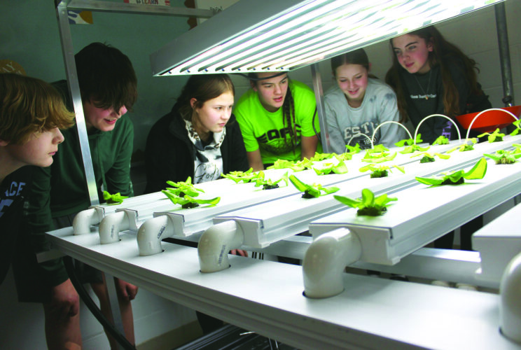 SL students participate in hydroponics project | News, Sports, Jobs ...